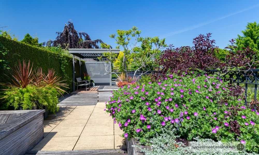 Optimaliseer uw Tuin met Professionele Beplanting