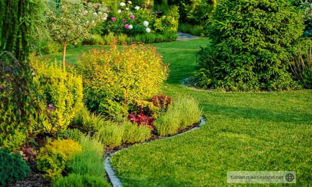 Optimaliseer uw Tuin met Professionele Beplanting