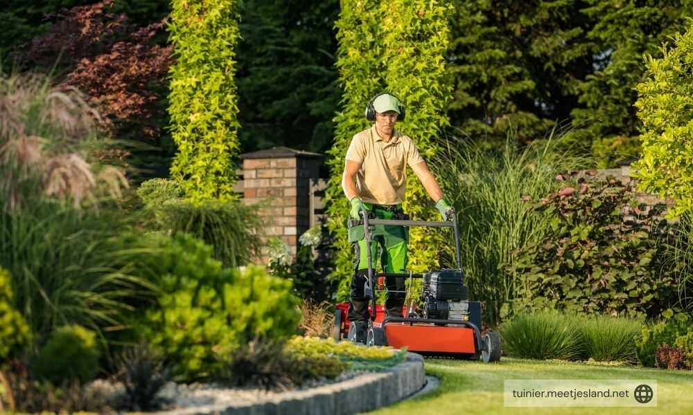 Tuinadvies voor een Prachtige & Gezonde Tuin